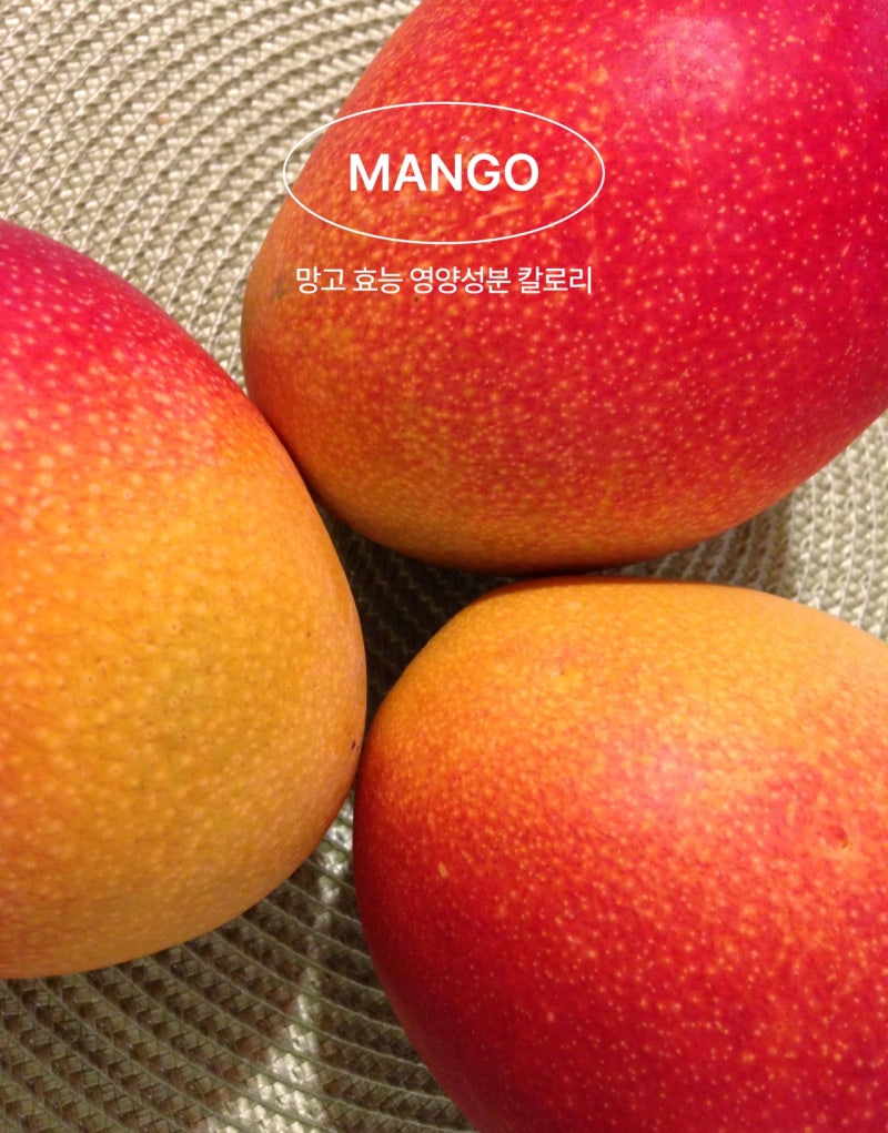 망고 효능 영양성분 칼로리 자르는 법 없어서 못 먹는 과일 네이버 블로그
